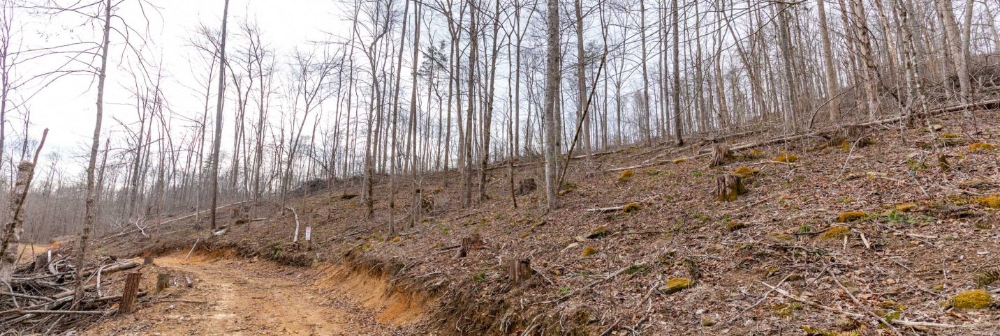 Foreclosures - Classic Country Land