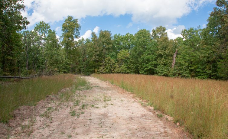 Land for Sale in Missouri | Agricultural & Recreational Land