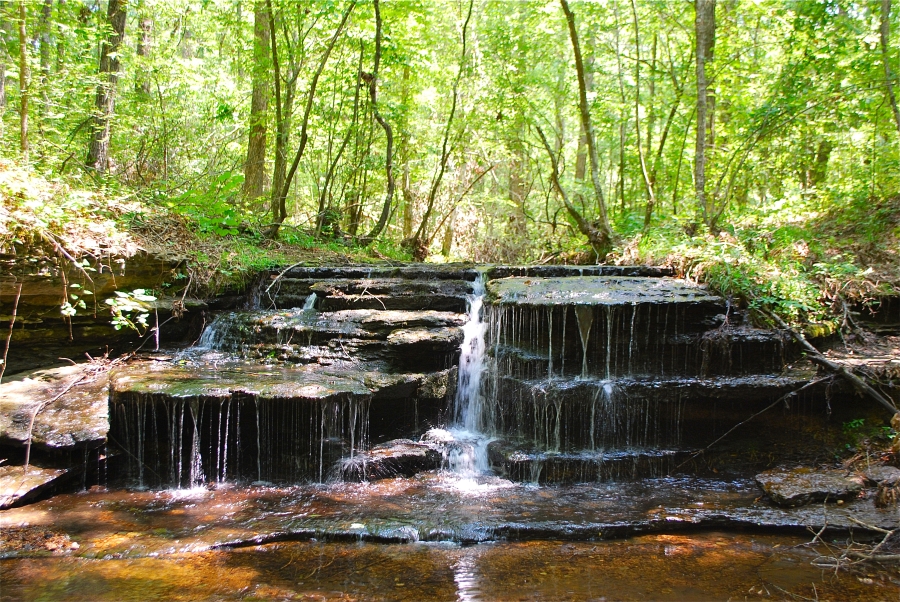 Land For Sale In Wayne County, Tennessee — Classic Country Land