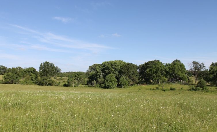 Land for Sale in Missouri | Agricultural & Recreational Land