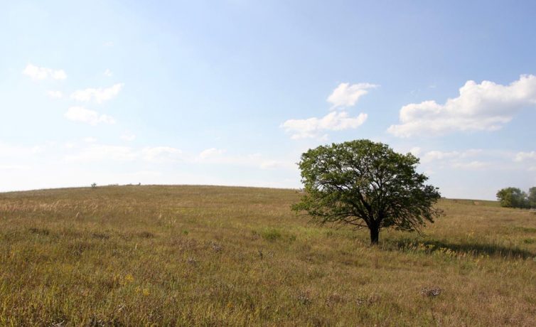 Land for Sale Across the US - Classic Country Land