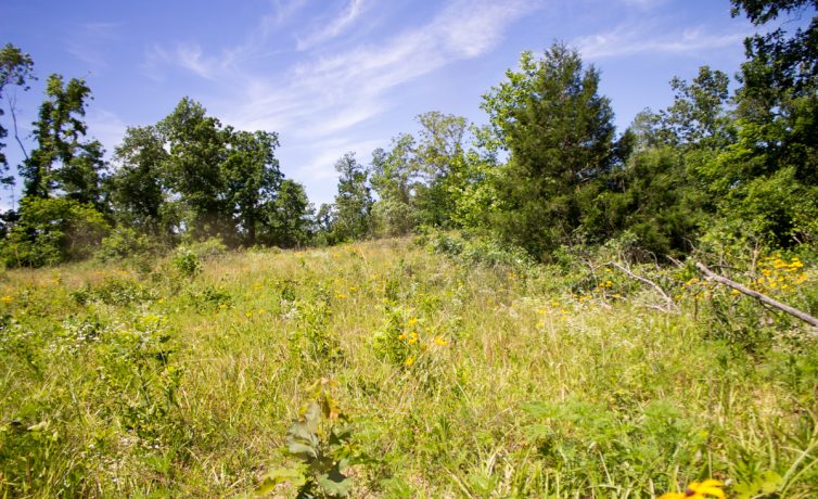Land for Sale in Missouri | Agricultural & Recreational Land