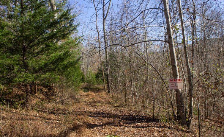 Foreclosed Land for Sale: As-Is Tracts at Huge Discounts