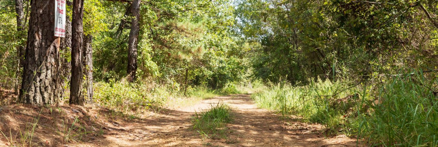 Foreclosures - Classic Country Land