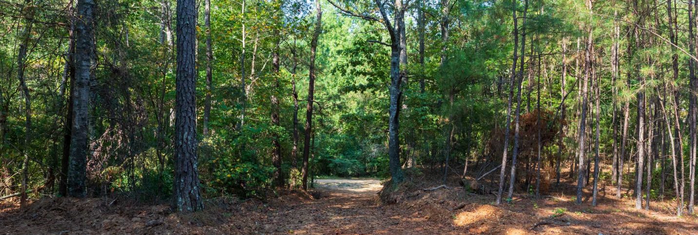 Foreclosures - Classic Country Land