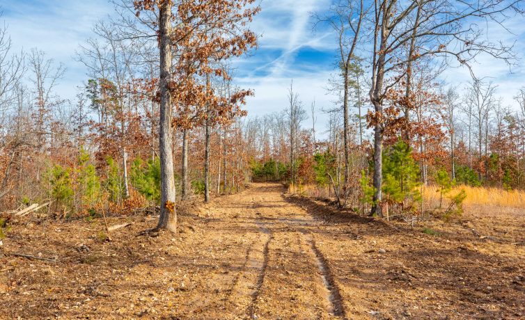 Land for Sale Across the US - Classic Country Land